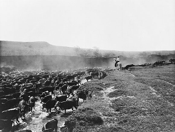 A Short History of the Cattle Drive Era | Newsburglar